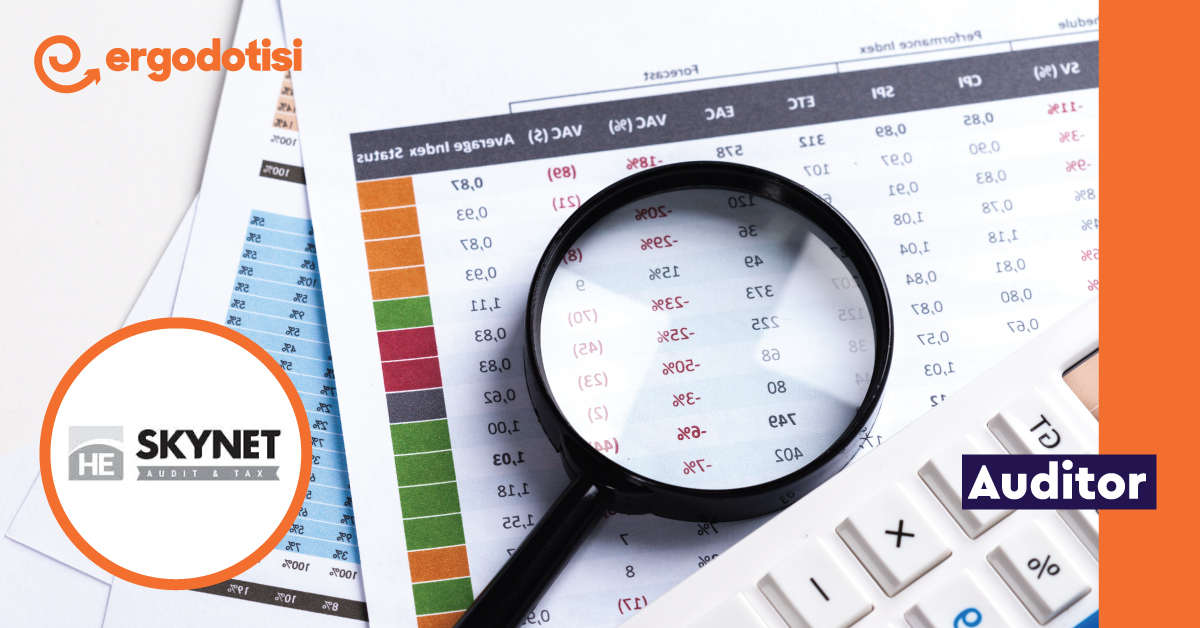 Auditor - H.E SKYNET AUDIT & TAX LTD